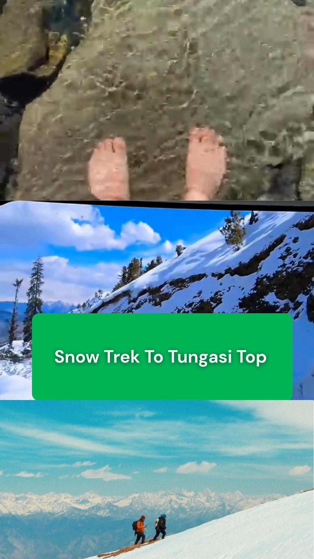 The Spiritual Cafe Homestay Jibhi - Reviews, Photos & Offer